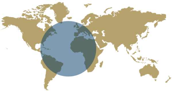 Common Octopus | Learn With the South Carolina Aquarium