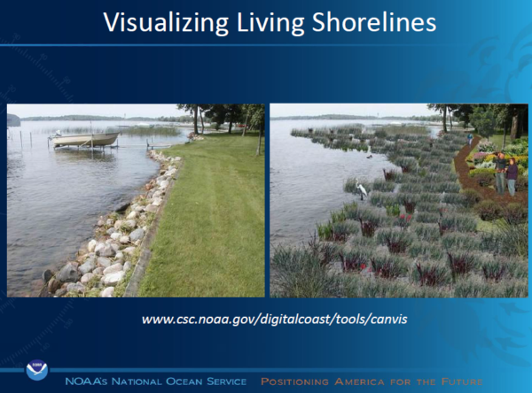 visualizing-living-shorelines | South Carolina Aquarium