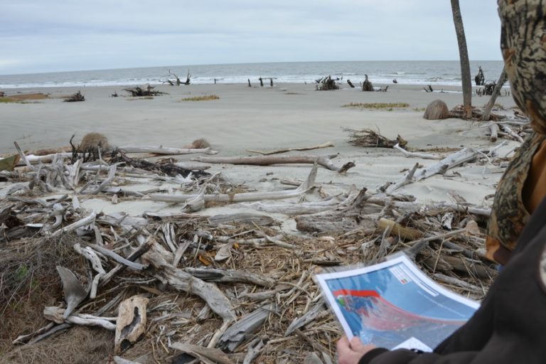 Learn About Conservation Efforts at the South Carolina Aquarium