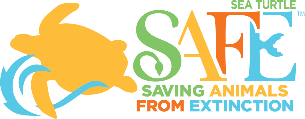 Copy of SAFE_Species Logo_Sea-Turtle | South Carolina Aquarium