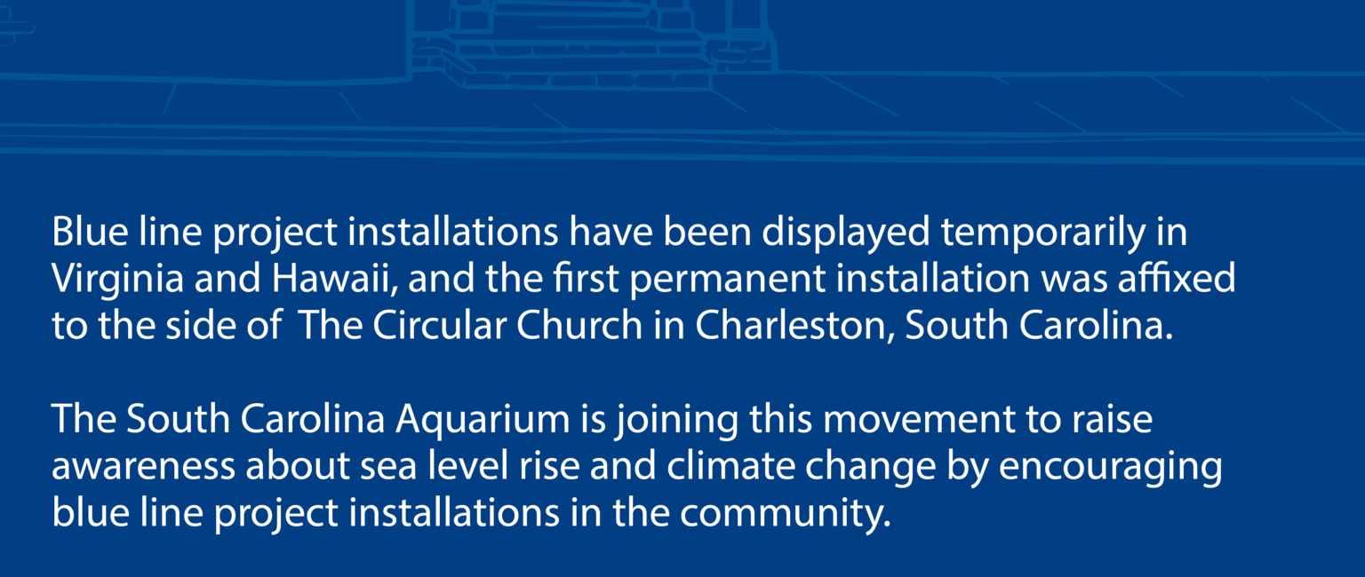 Blue Line Project Installations | Charleston, South Carolina