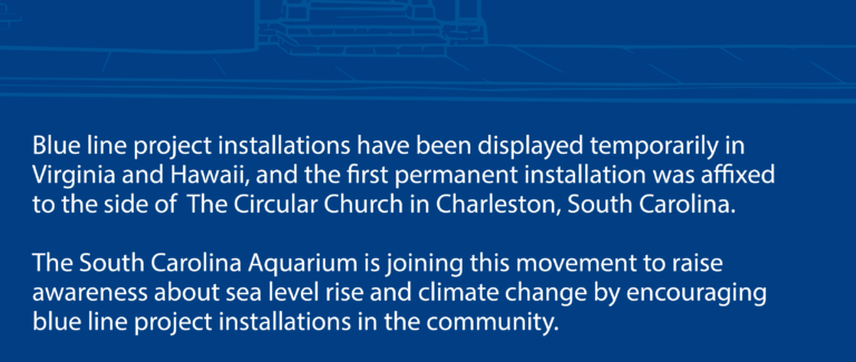 Blue Line Project Installations | Charleston, South Carolina